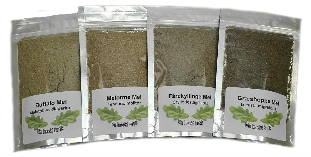 Insektmel - DinInsektButik